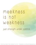 Meekness | From the Inside Out